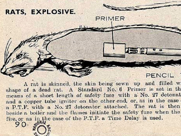 British Spy Manual Reveals Secret WWII Tactics