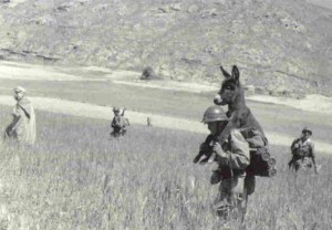 The Funniest and Weirdest Pictures Of WWII