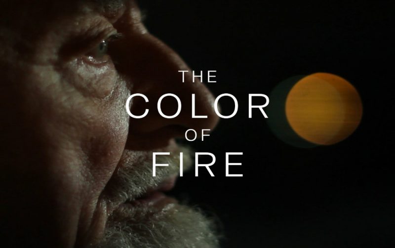 The Color of Fire: Personal Documentary of a Son of a Nazi Soldier