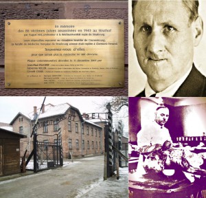 86 Remains Used for Nazi Human Experiments Discovered In Strasbourg ...
