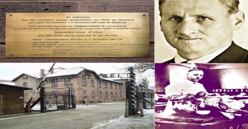 86 Remains Used for Nazi Human Experiments Discovered In Strasbourg ...