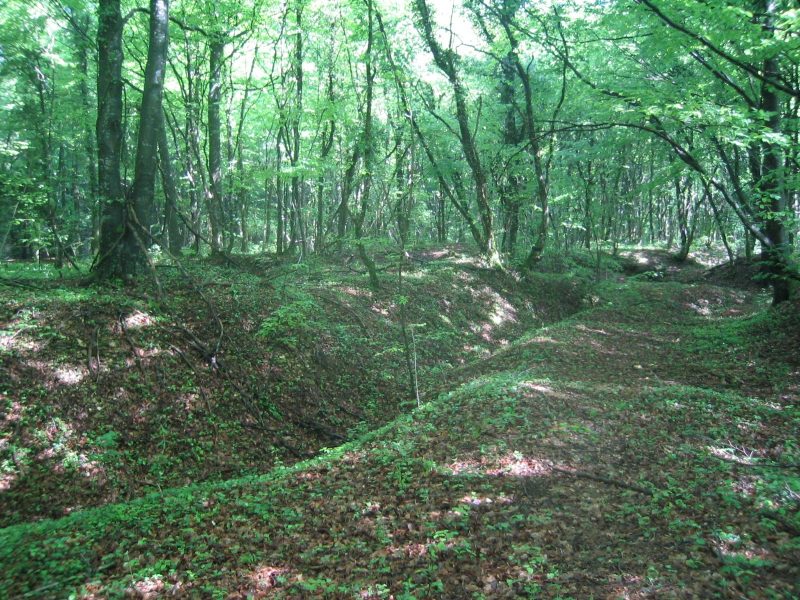Battle of Verdun Remembered Nearly 100 years After It Started