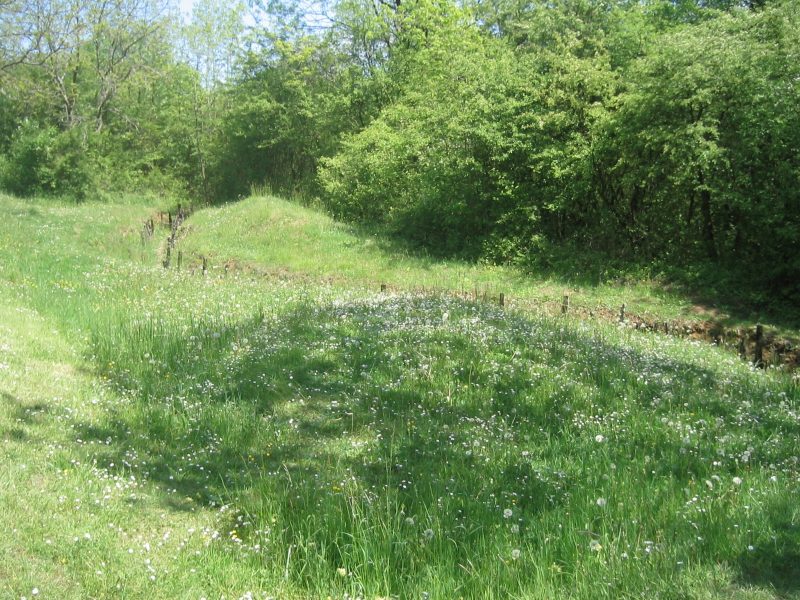 Battle of Verdun Remembered Nearly 100 years After It Started