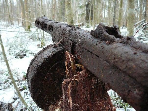 Incredible battlefield relics of the Eastern Front