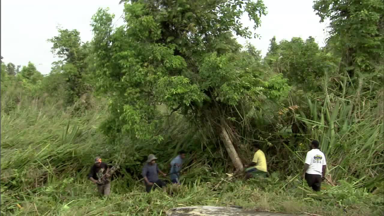 B-17E Bomber Rescued from Papua New Guinea Swamp, Now On Display in Hawaii