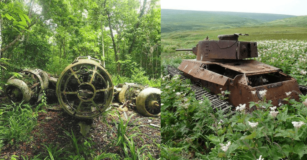 22 Photos of the Remnants of War Prove that Nature Always Prevails