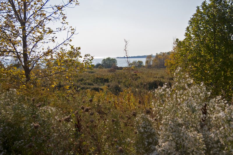 Camp X – The Allies’ Secret Training School for World War II Spies and ...