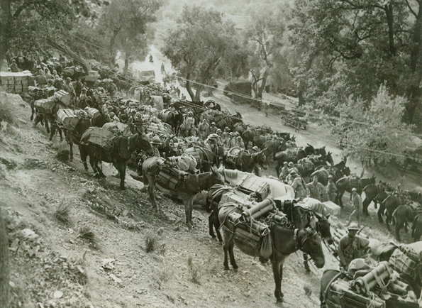 Fighting On The Gustav Line - Part 1