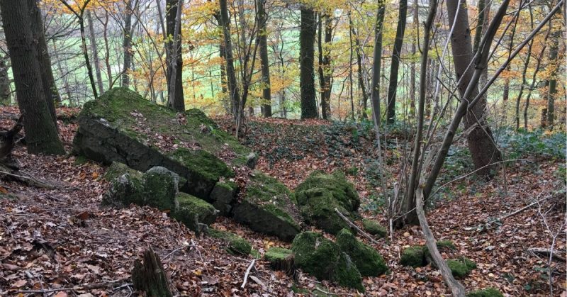 Forgotten Trenches & Bunkers from the Battle of the Reichswald