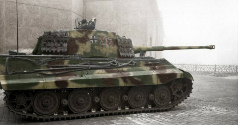 25 Stunning Photos of the King Tiger - Some We Haven't Seen Before