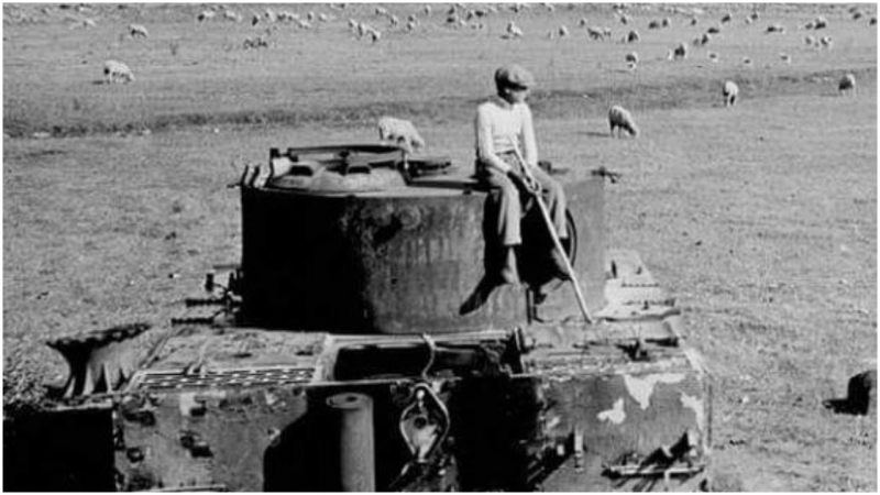 30 images of Tiger 1 wrecks