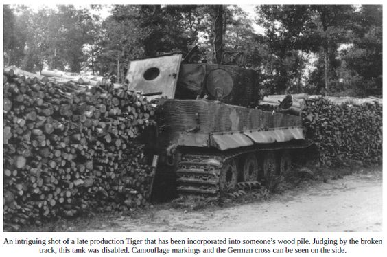30 images of Tiger 1 wrecks