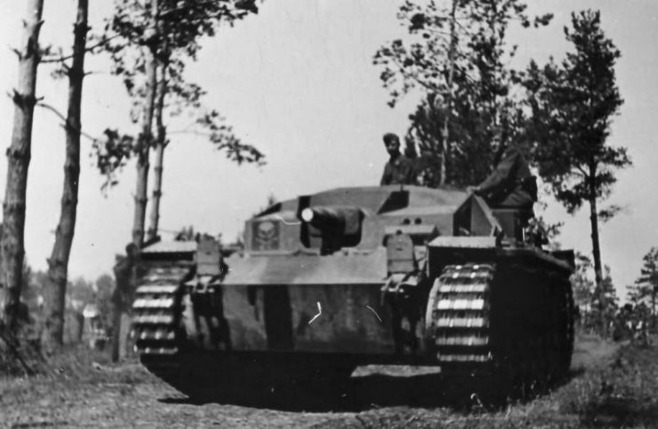 The StuG - Sturmgeschütz SPG in Dozens of Photos
