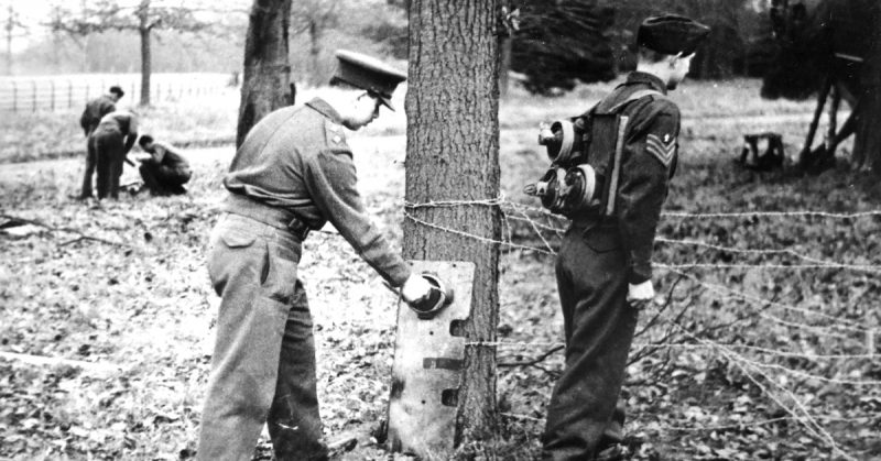 A Condom, Aniseed Ball, and a Bowl of Porridge - The Creation of the ...