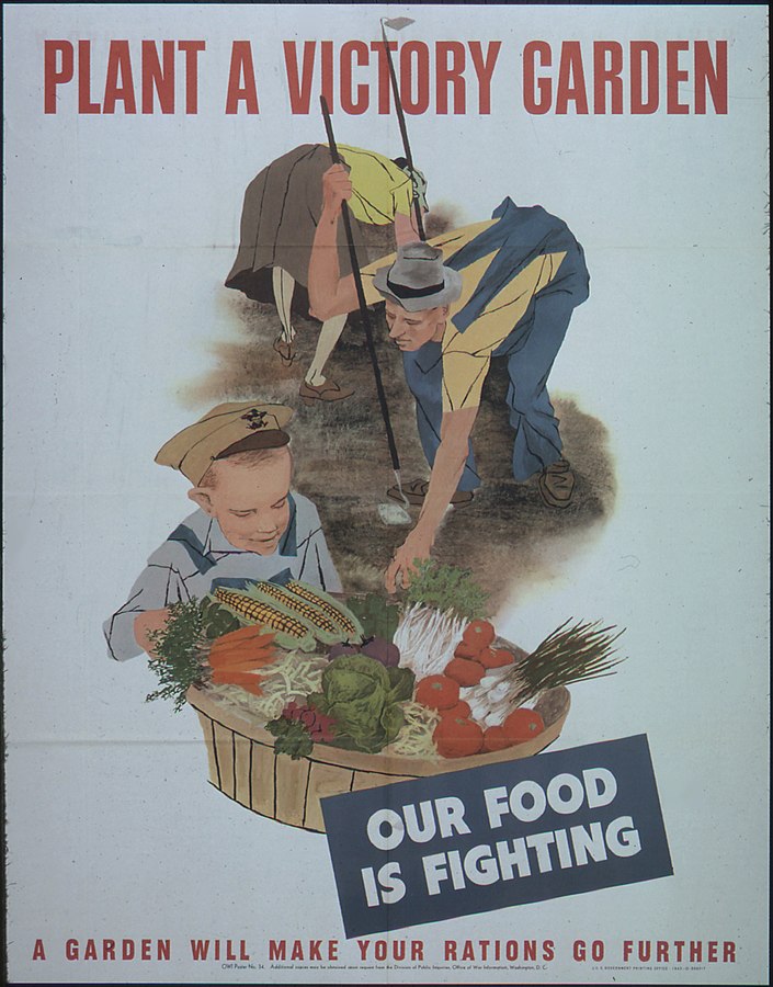 Carrots Improve Your Night Vision: Fact or Propaganda From the RAF?