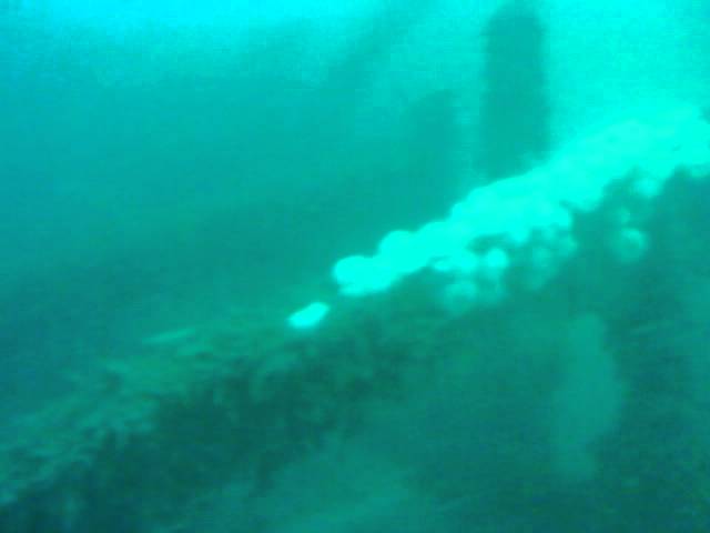 Maritime Archaeology Trust Brings Lesser Known WWI Shipwrecks to Life