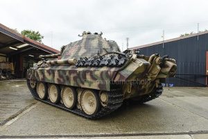 Panther, the Big Cat is Heading Down Under