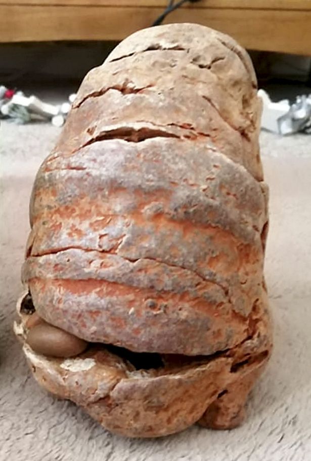 Fossil Actually a Wartime Grenade: Explodes in Civilian's Kitchen Sink