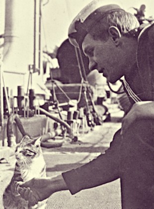 WWI's Cuddly Yet Brave 'Soldiers' - Cats | War History Online