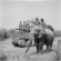 An Extraordinary Tale of Burmese Elephants in World War II Combat | War ...
