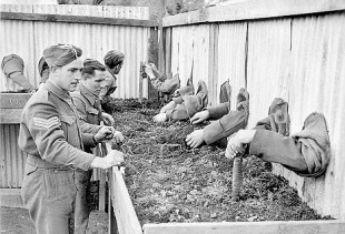 The Funniest and Weirdest Pictures Of WWII | War History Online