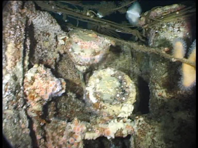 'The most intact U-boat wreck I've ever seen' U-Boat Hunter Innes ...