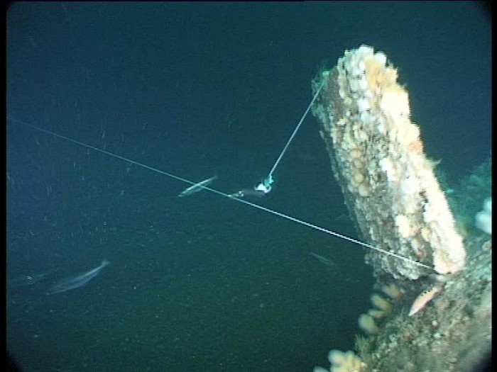 'The most intact U-boat wreck I've ever seen' U-Boat Hunter Dr Innes ...
