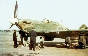 The Luftwaffe P-38 Lightning and other STUNNING pictures of Allied ...