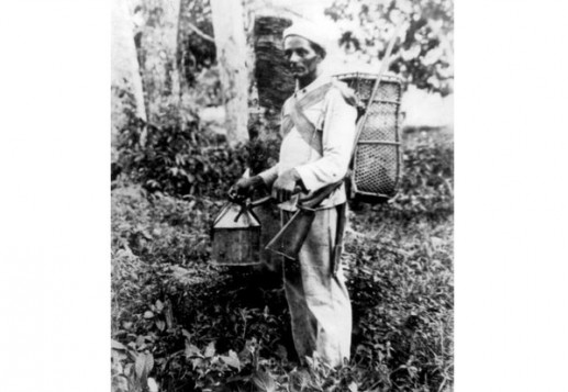 Brazil’s World War Two rubber workers demand compensation | War History ...