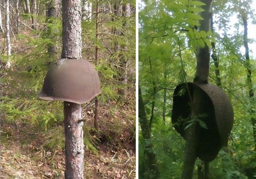 AMAZING! Weapons from WWII embeded into trees in Nevsky Pyatachok ...