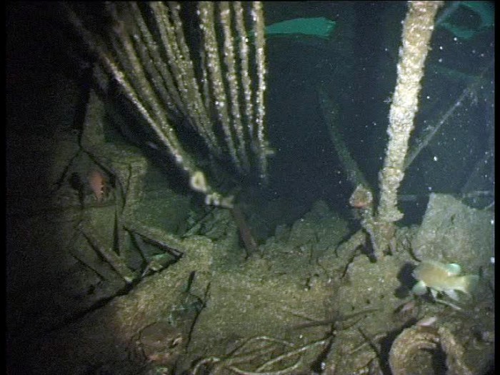 MUST READ: 42 amazing images from a dive onto U89 by Dr Innes McCarthy ...
