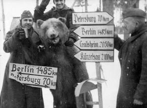 27 of the Funniest and Weirdest Pictures Of WWII | War History Online