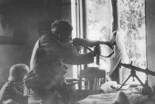 Did You Know? One of the last SS units to hold out defending Hitler's ...