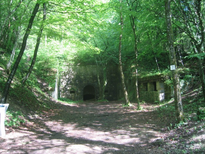 Battle of Verdun Remembered Nearly 100 years After It Started | War ...
