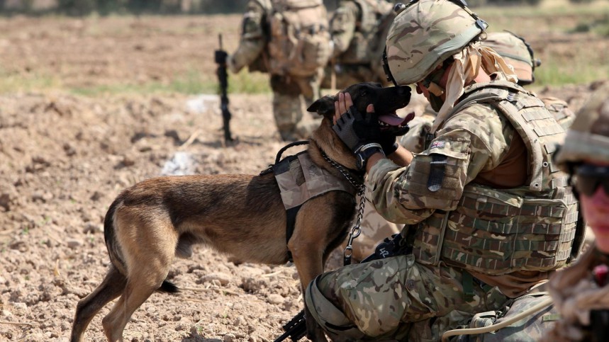 Dogs - A Soldiers Best Friend Since Forever | War History Online