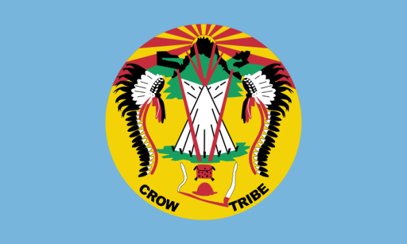 Joseph Medicine Crow, Completed All Requirements To Become The Last ...