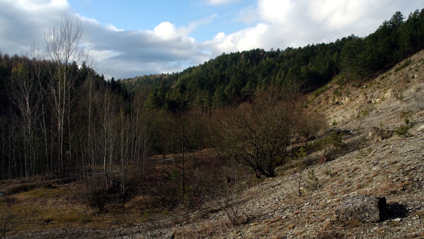 Billions of Dollars of Looted WWII Treasure Is Still Hidden | War ...