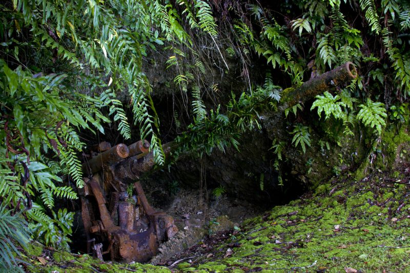 22 Photos of the Remnants of War Prove that Nature Always Prevails ...