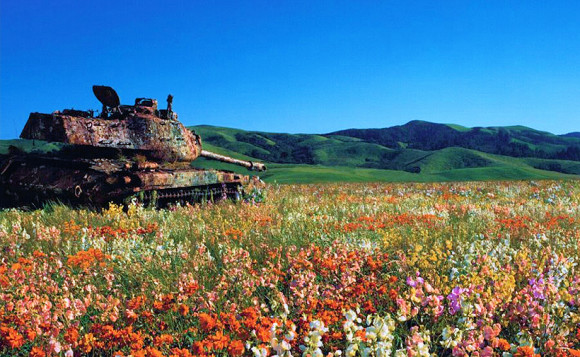 22 Photos of the Remnants of War Prove that Nature Always Prevails ...
