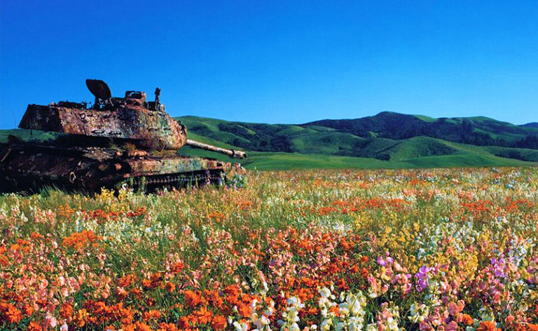 22 Photos of the Remnants of War Prove that Nature Always Prevails ...