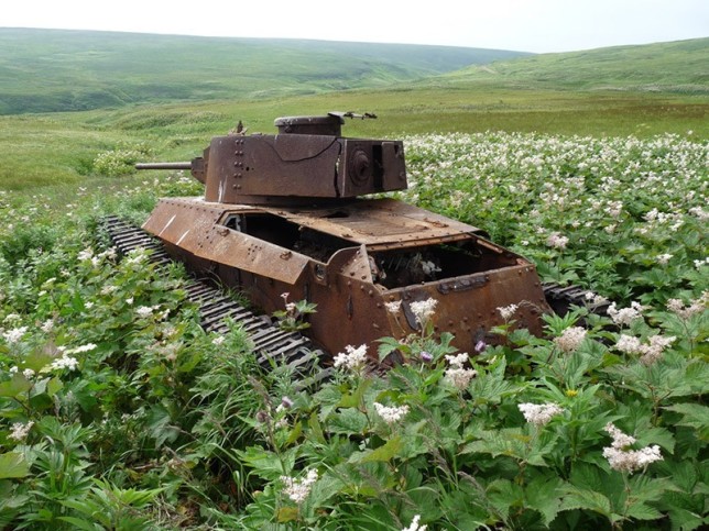 22 Photos of the Remnants of War Prove that Nature Always Prevails ...