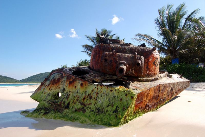 22 Photos of the Remnants of War Prove that Nature Always Prevails ...