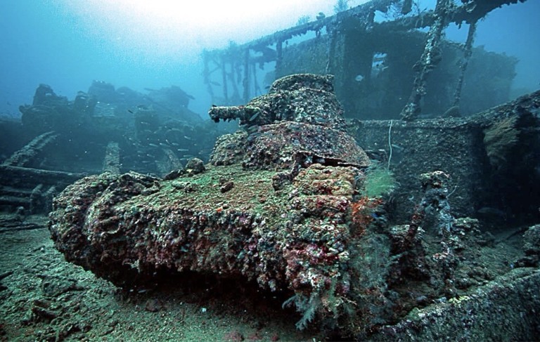 22 Photos of the Remnants of War Prove that Nature Always Prevails ...
