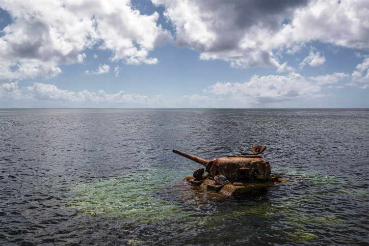22 Photos of the Remnants of War Prove that Nature Always Prevails ...
