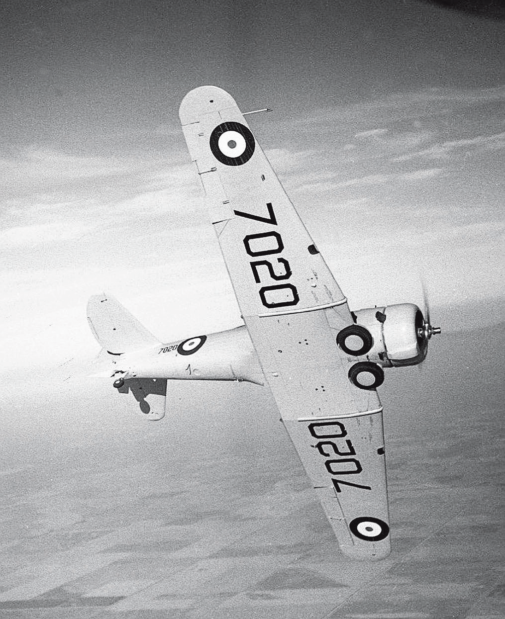 WW2 Warbird Factory in Los Angeles - Amazing Pictures | War History Online