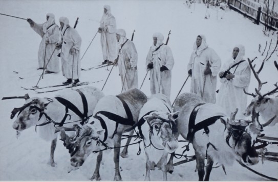 This Reindeer Battalion of WWII Was Braver than Soviets, Tougher Than ...