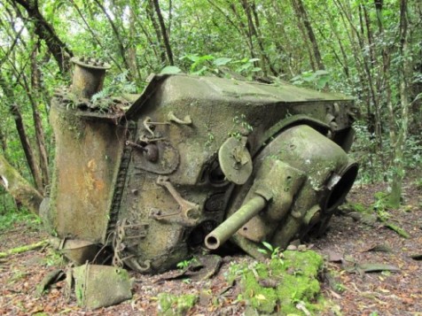 22 Photos of the Remnants of War Prove that Nature Always Prevails ...