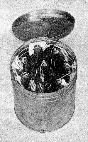 Japanese Fire Balloons and the Tragic Tale of the Last WWII Casualties ...