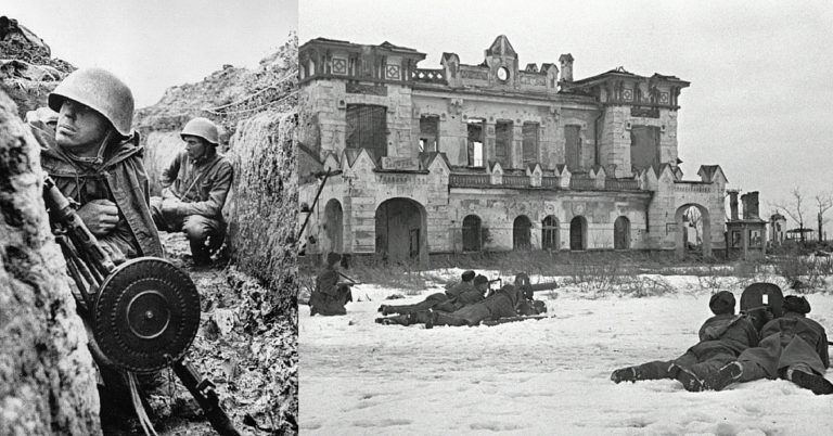 22 Remarkable and Rare Photos of the Siege of Leningrad! | War History ...
