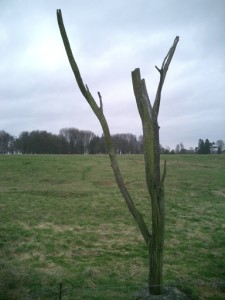 6 Less Well Known Facts About The Infamous Battle of the Somme | War ...